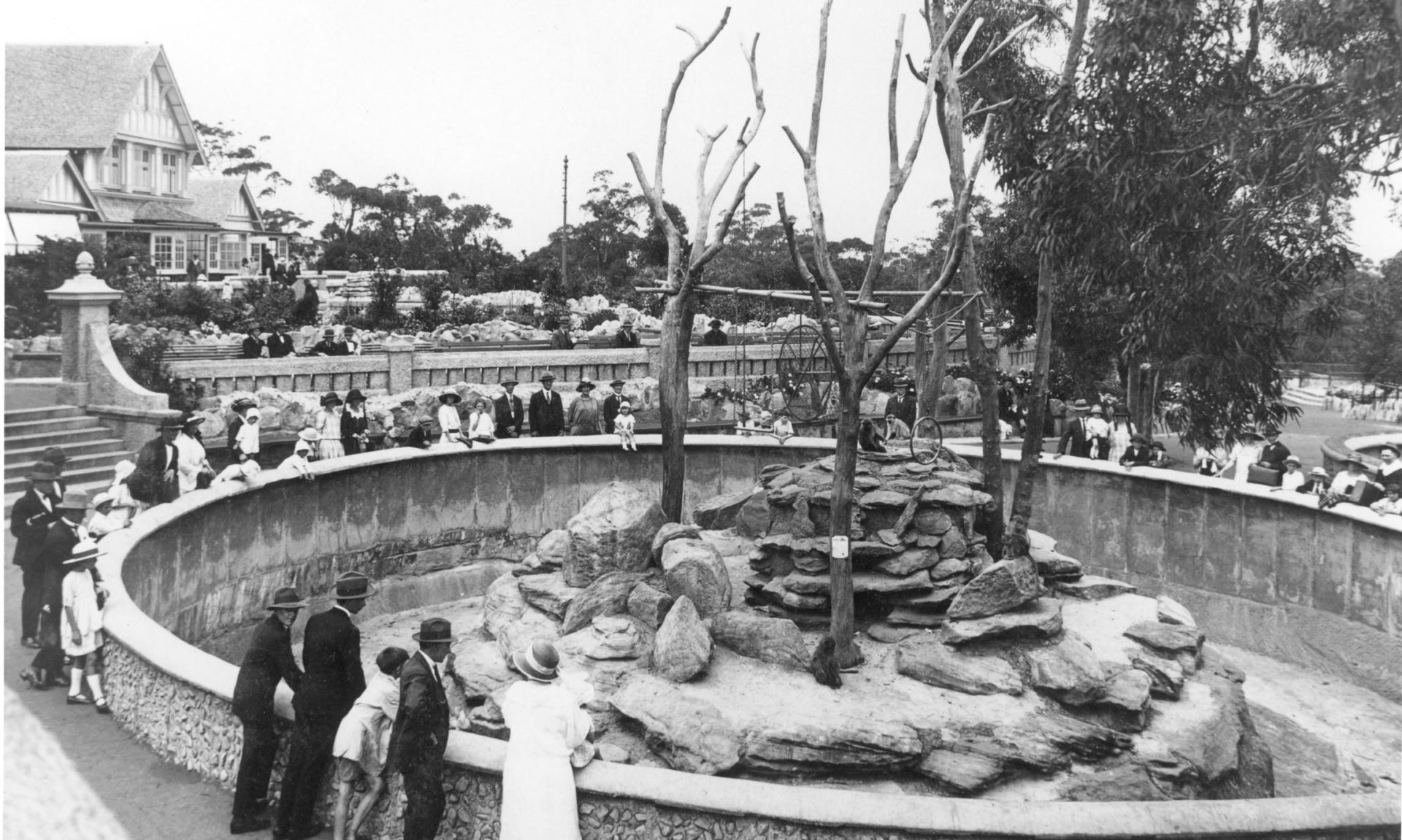Taronga Zoo Landscape Management • Design 5 – Architects